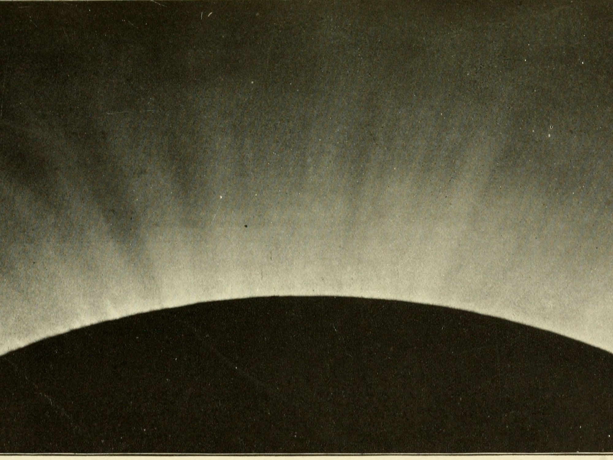 When the Moon Obscures the Sun, How Does Life on Earth Respond ...