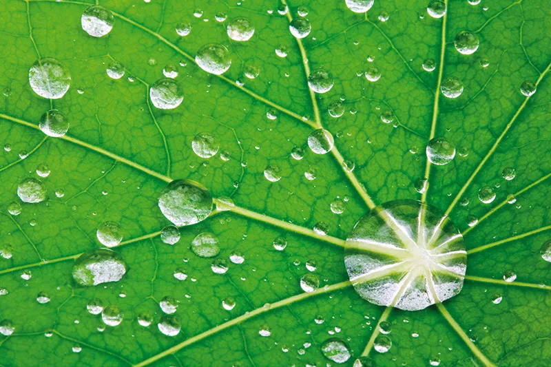 list of patterns in nature