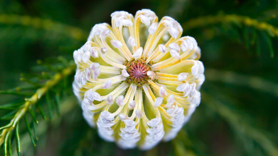 The Eye of Nature | Smithsonian Photo Contest | Smithsonian Magazine