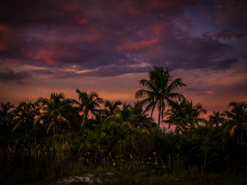 Mother Nature's Beauty | Smithsonian Photo Contest | Smithsonian Magazine