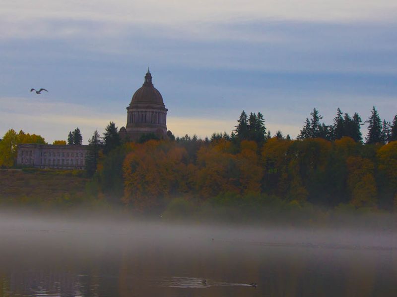 Early morning fog at the Washington State Capitol. | Smithsonian Photo ...