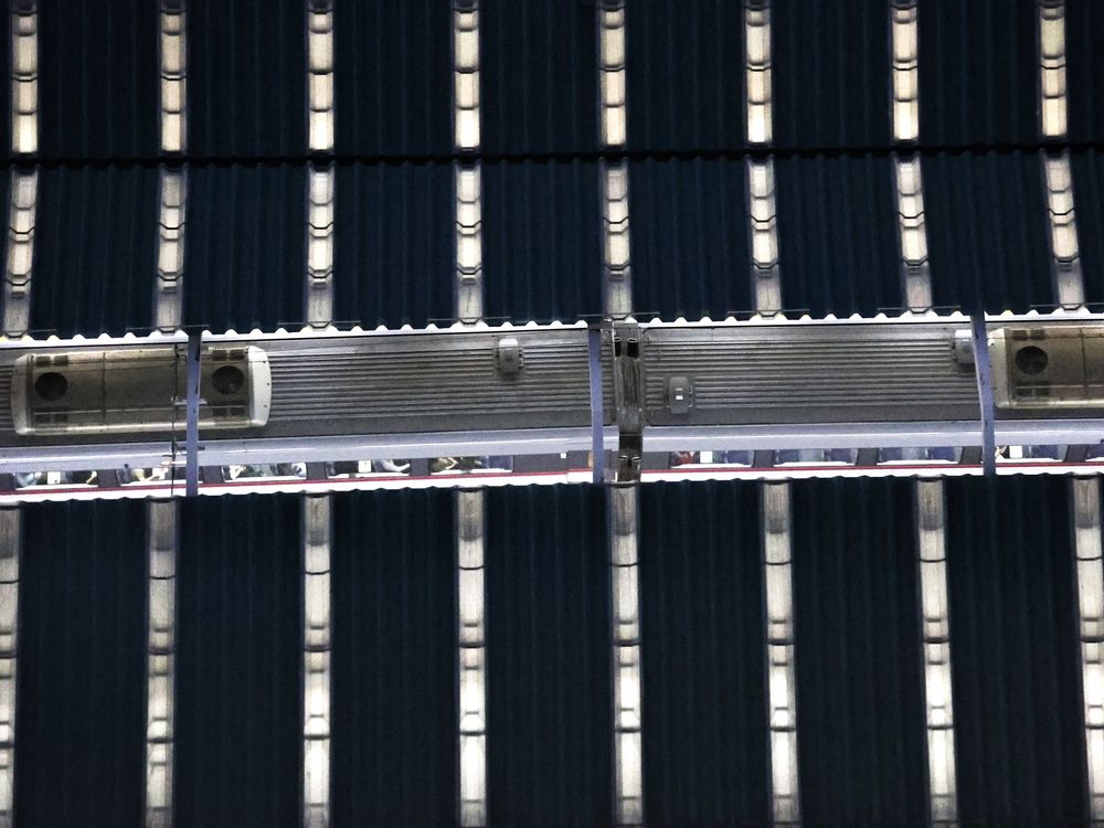 The Train on the "Zebra Crossing" | Smithsonian Photo Contest ...