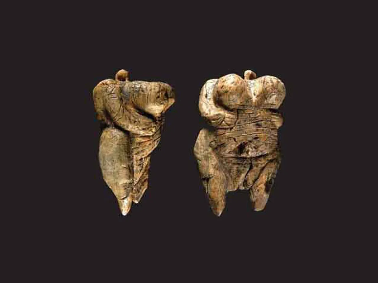 Venus Of Hohle Fels