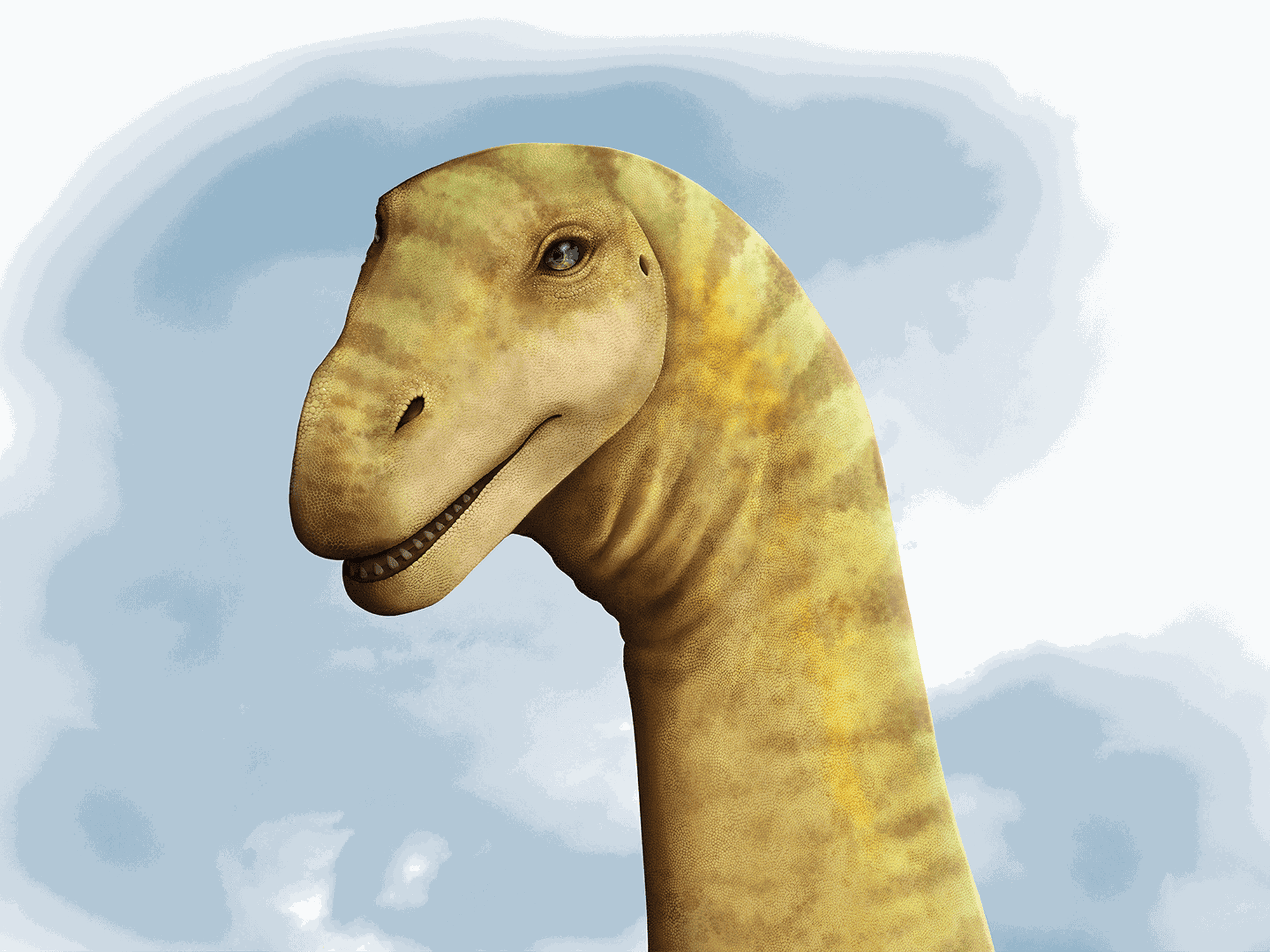 Rare 95-Million-Year-Old Dinosaur Skull Uncovered in Australia