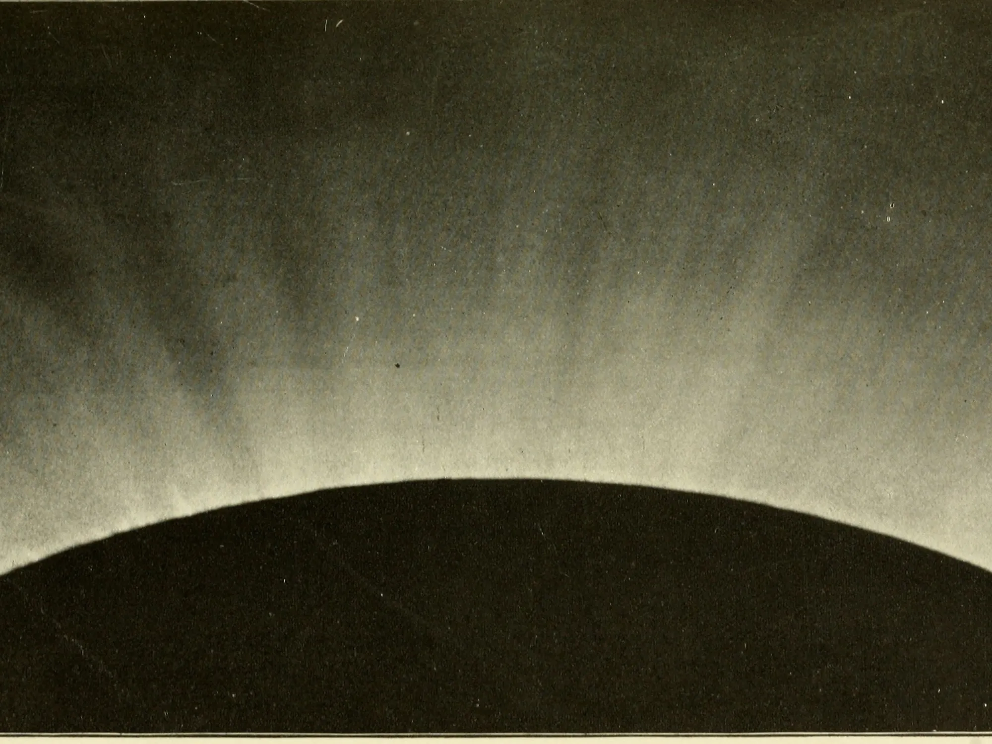 When the Moon Obscures the Sun, How Does Life on Earth Respond ...