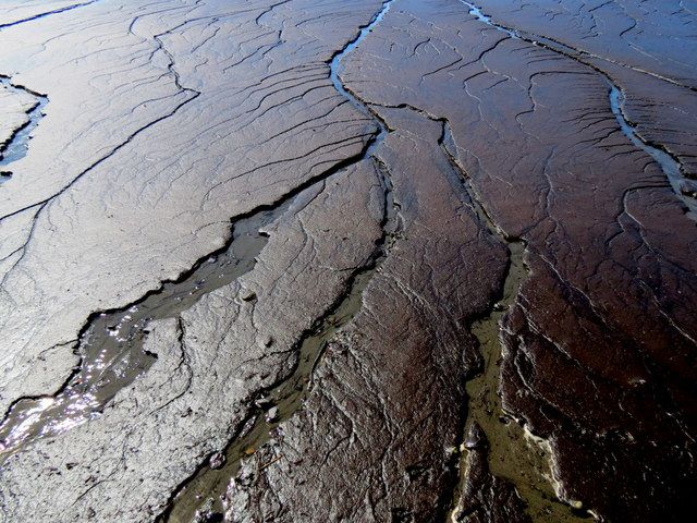 Receding tide in Bellingham bay. | Smithsonian Photo Contest ...