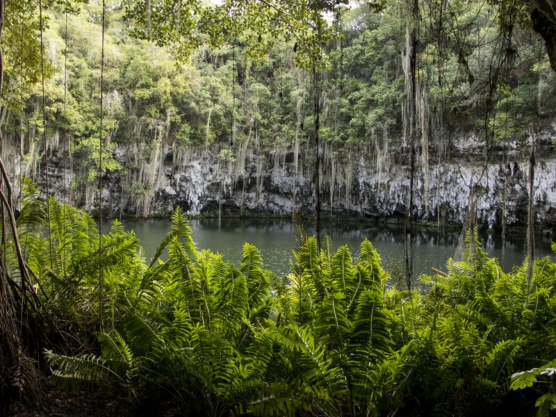 A Dominican Cenote | Smithsonian Photo Contest | Smithsonian Magazine