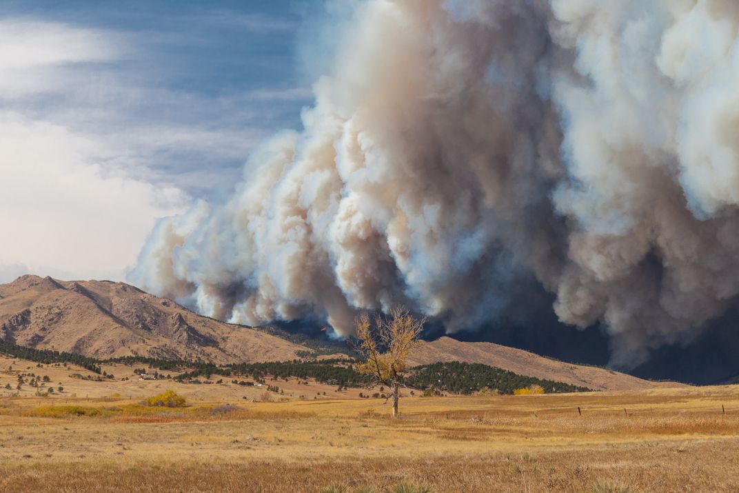 Tree and Calwood Fire | Smithsonian Photo Contest | Smithsonian Magazine