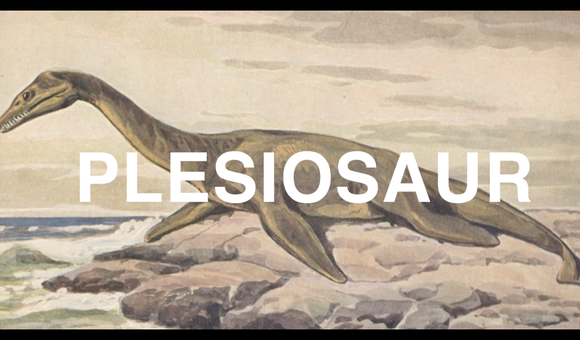 National Museum of Natural History Blog | Smithsonian Magazine