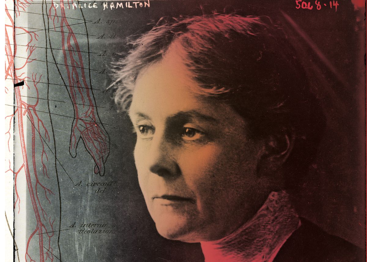 How Alice Hamilton Waged a One-Woman Campaign to Get the Lead Out of ...