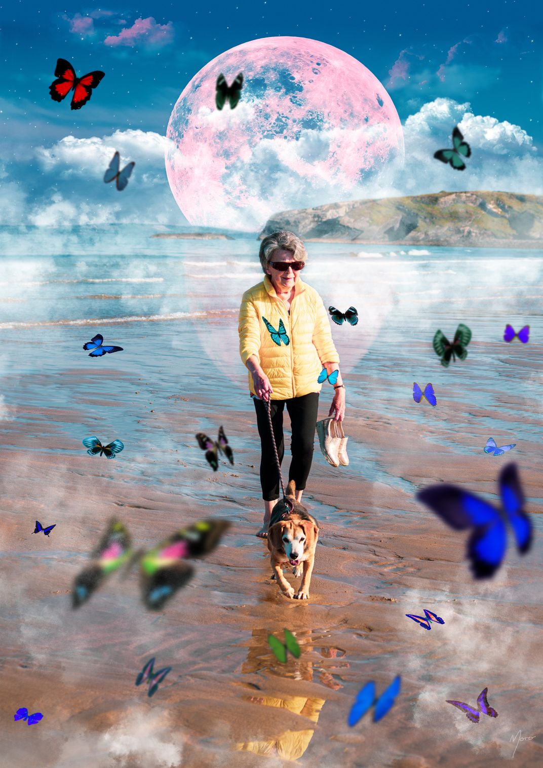 Freedom | Smithsonian Photo Contest | Smithsonian Magazine