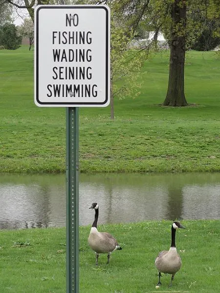Now what??! .... what else do we know to do here?? | Smithsonian Photo ...