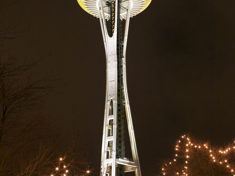 Seattle Space Needle at Christmas. | Smithsonian Photo Contest ...