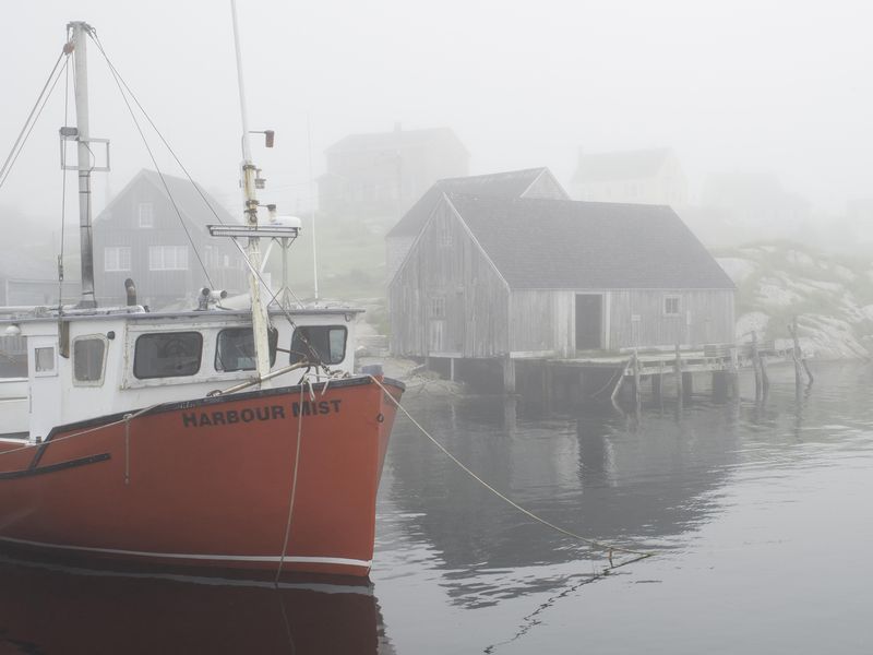 Harbour Mist | Smithsonian Photo Contest | Smithsonian Magazine