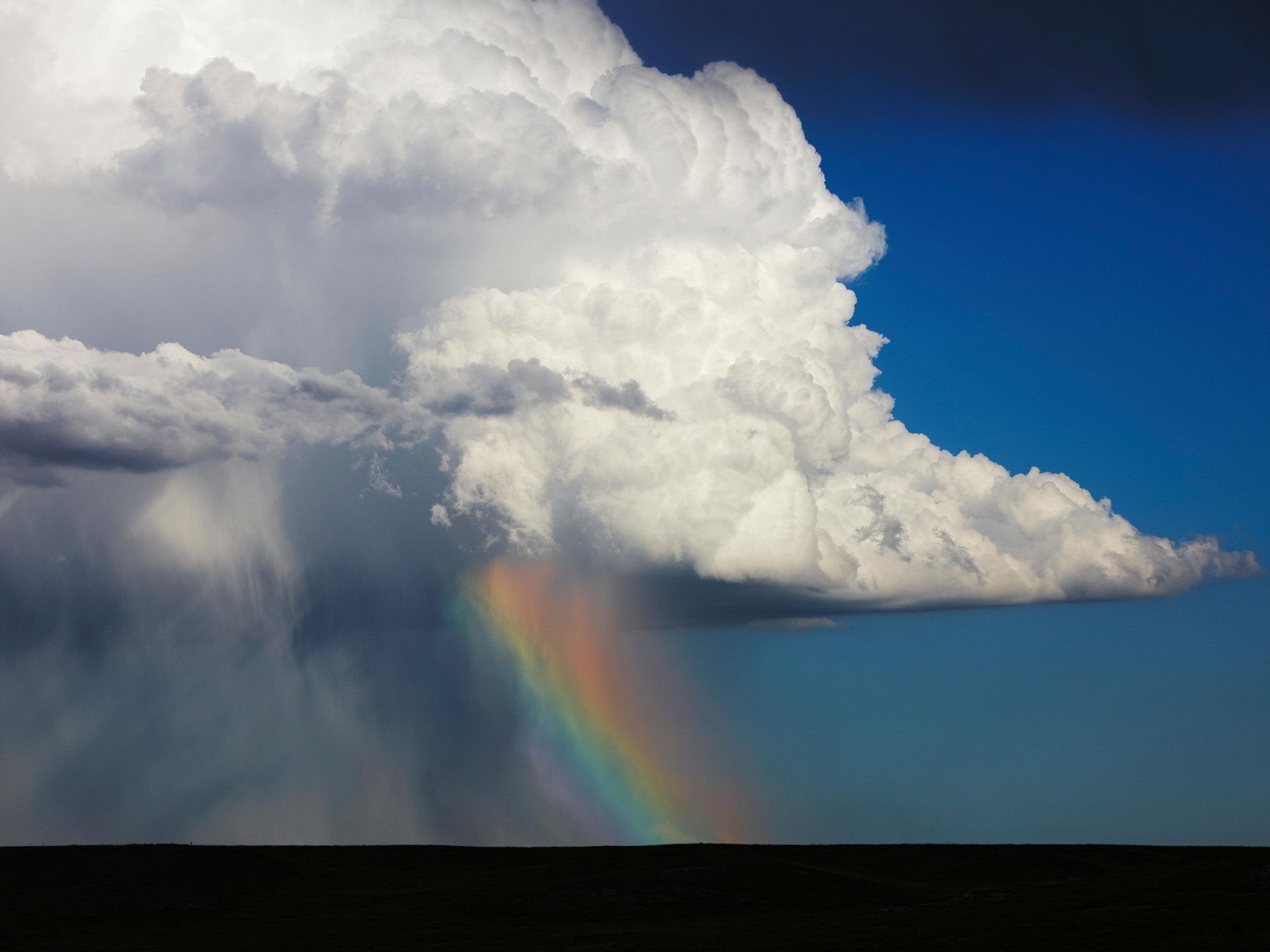 Strange Rain: Why Fish, Frogs and Golf Balls Fall From the Skies