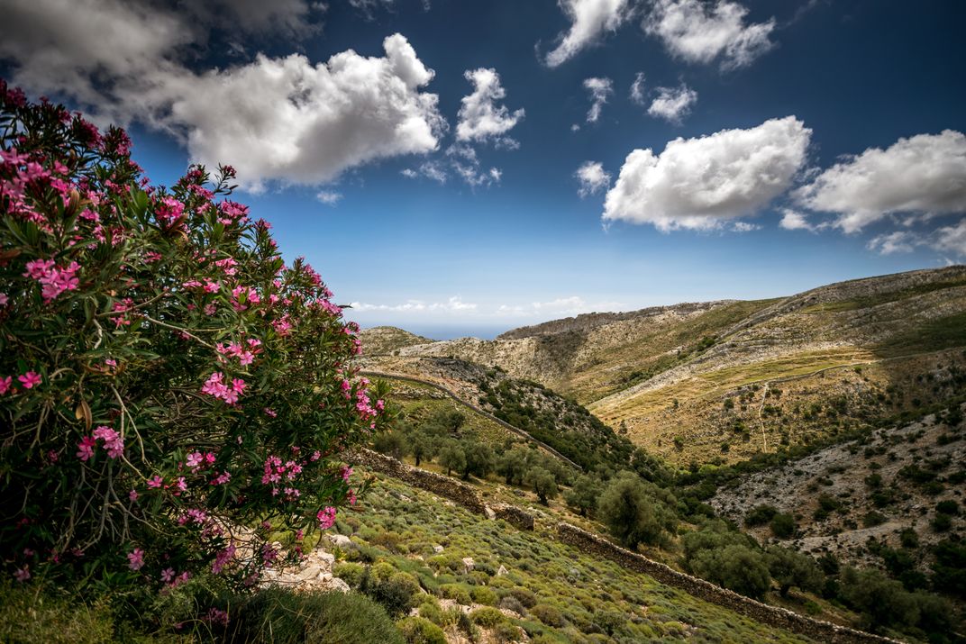 Naxos countryside | Smithsonian Photo Contest | Smithsonian Magazine
