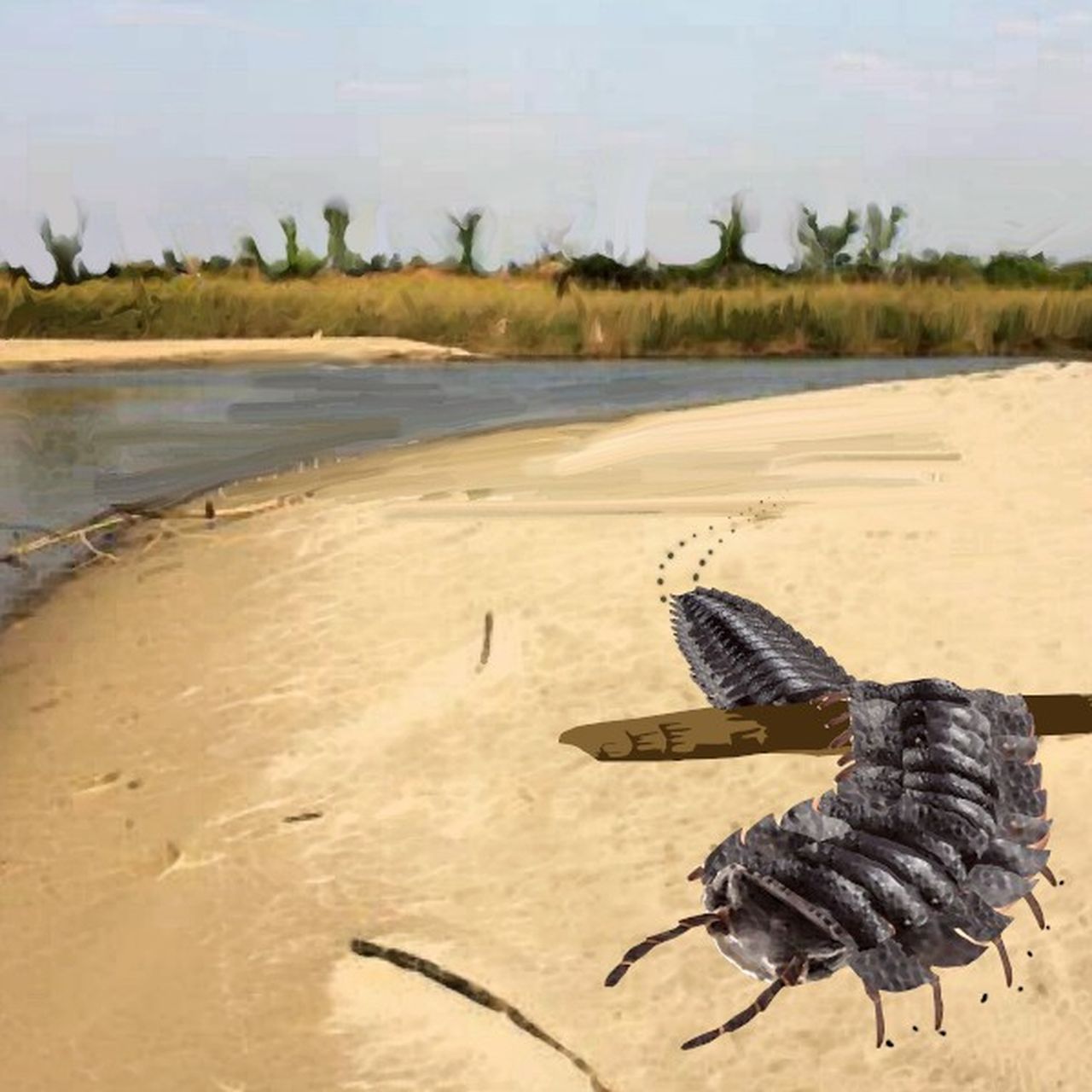 ancient extinct insects