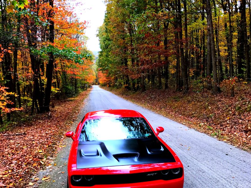 Hellcat in the mountains | Smithsonian Photo Contest | Smithsonian Magazine