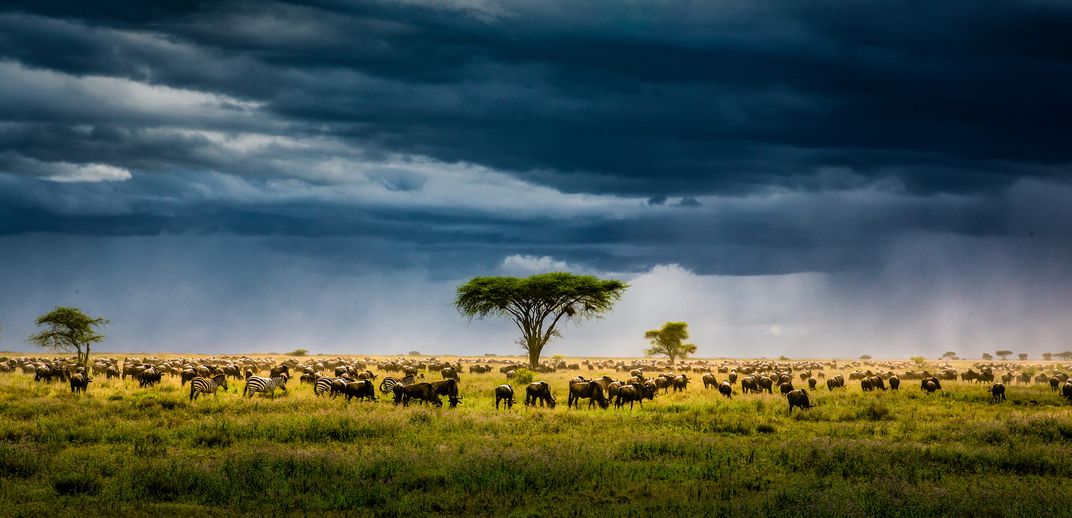 African prairie | Smithsonian Photo Contest | Smithsonian Magazine