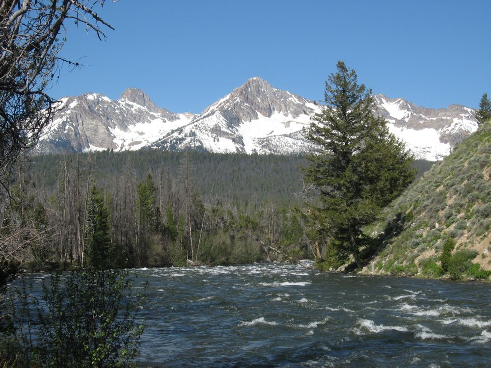 sawtooth river