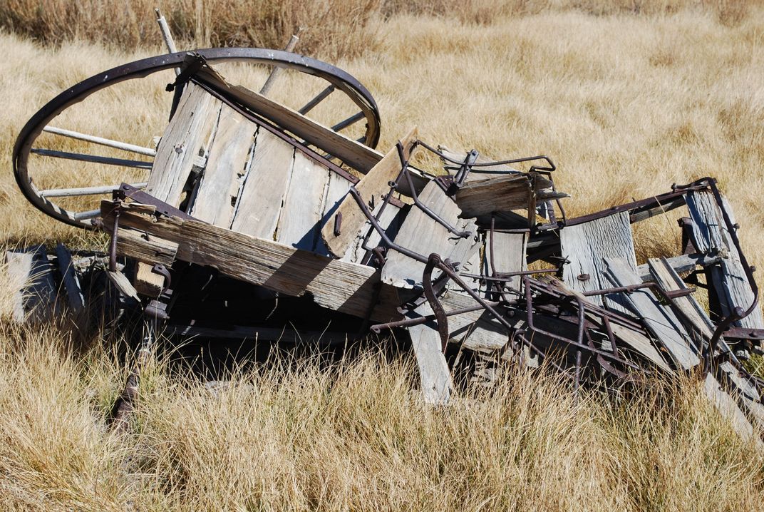Arrested Decay | Smithsonian Photo Contest | Smithsonian Magazine