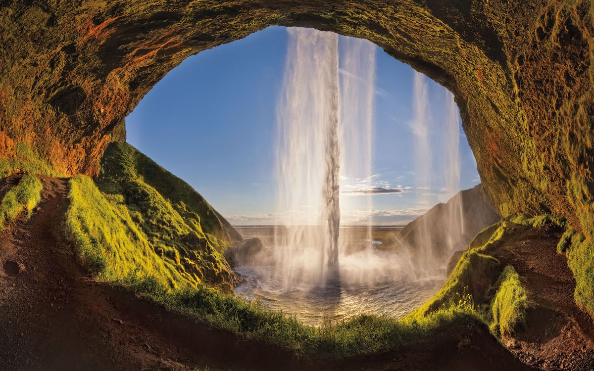 Natural World Natural World Campaign :: Behance