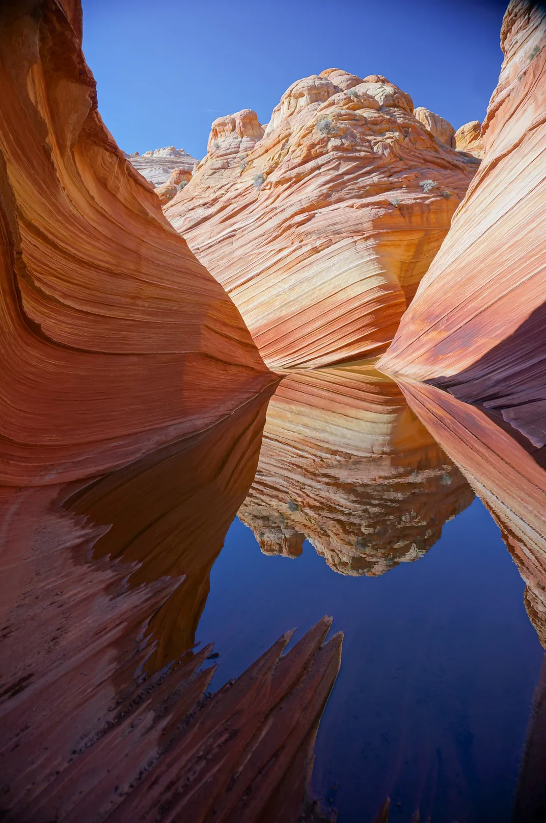 THE WAVE AFTER MONSOON | Smithsonian Photo Contest | Smithsonian Magazine