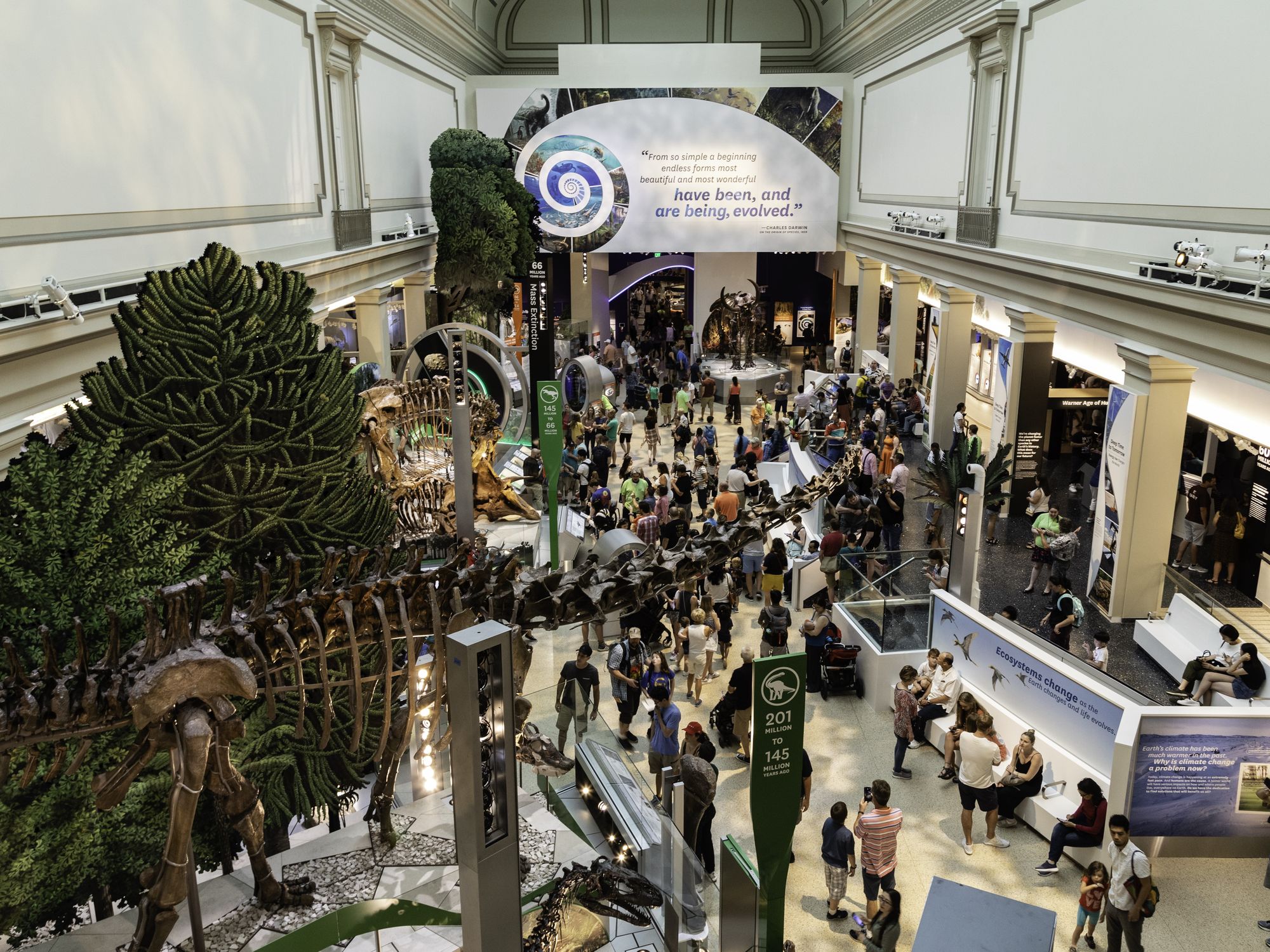 How Exhibit Writers Tackled Earth’s 4.6 Billion Year History in ‘Deep ...