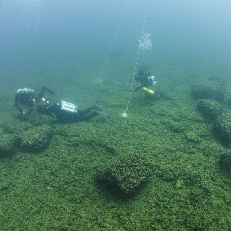 Sign Paperwork Underwater