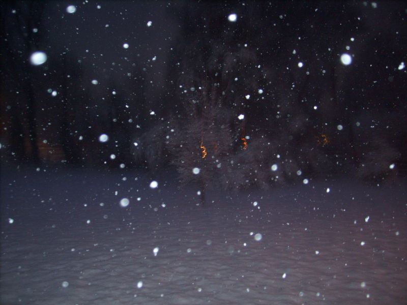 Snow falling outside the window | Smithsonian Photo Contest ...