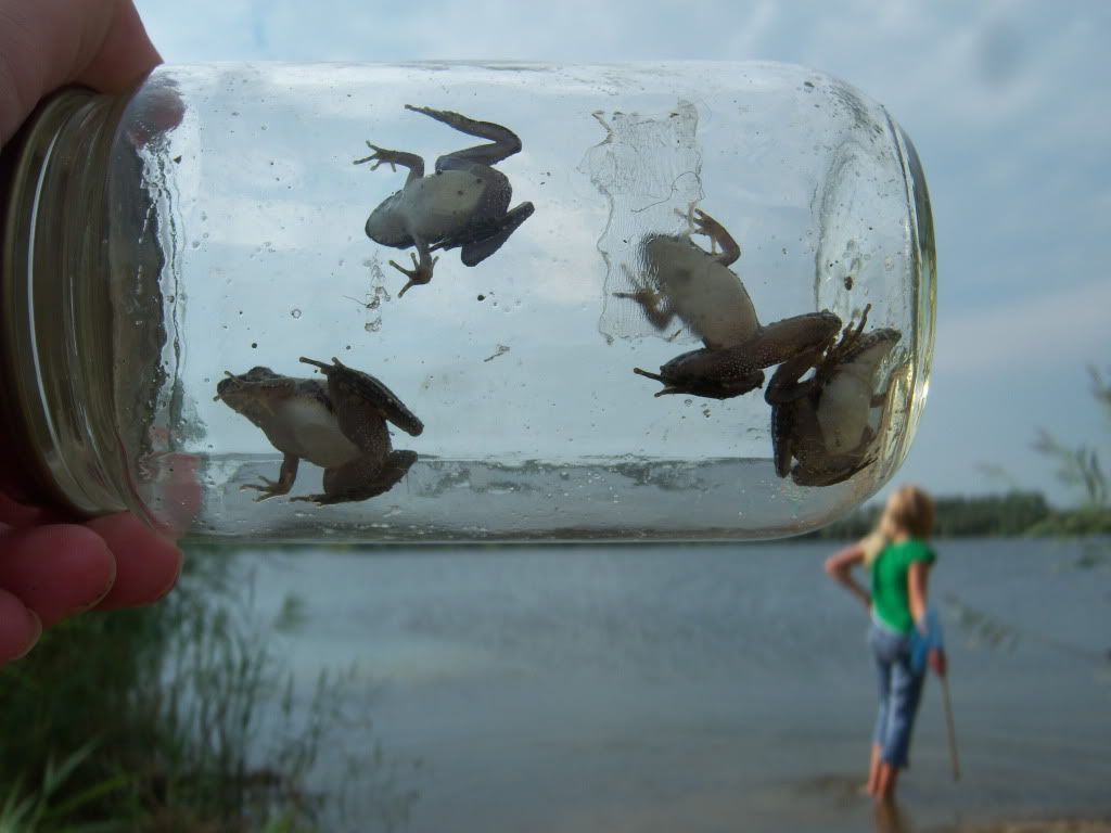 A girl and her frogs.My daughter Alice's favorite past time is going to ...