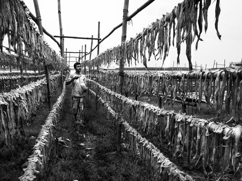 Drying Fish | Smithsonian Photo Contest | Smithsonian Magazine