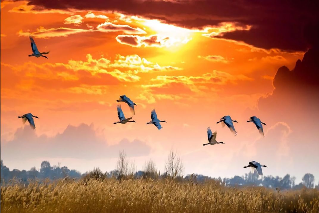 Flying in the sky2 | Smithsonian Photo Contest | Smithsonian Magazine
