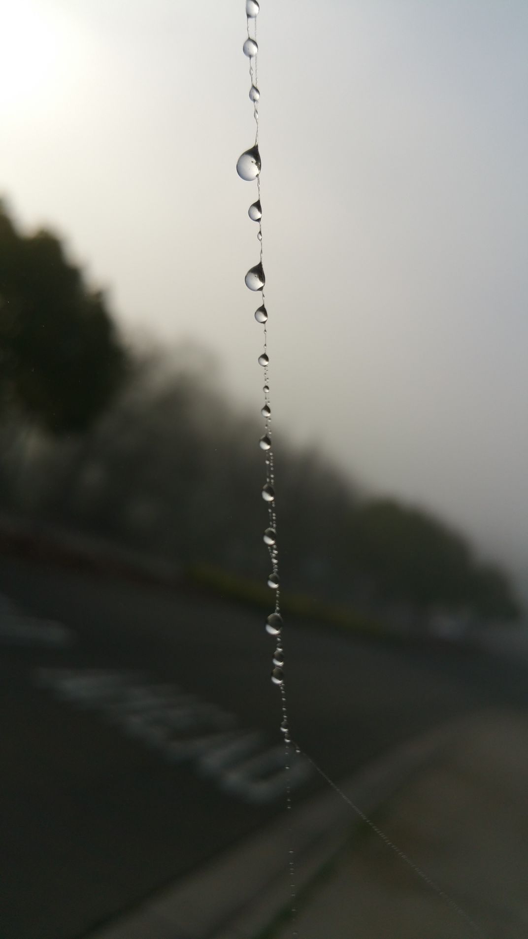 Simply one drop at a time | Smithsonian Photo Contest | Smithsonian ...