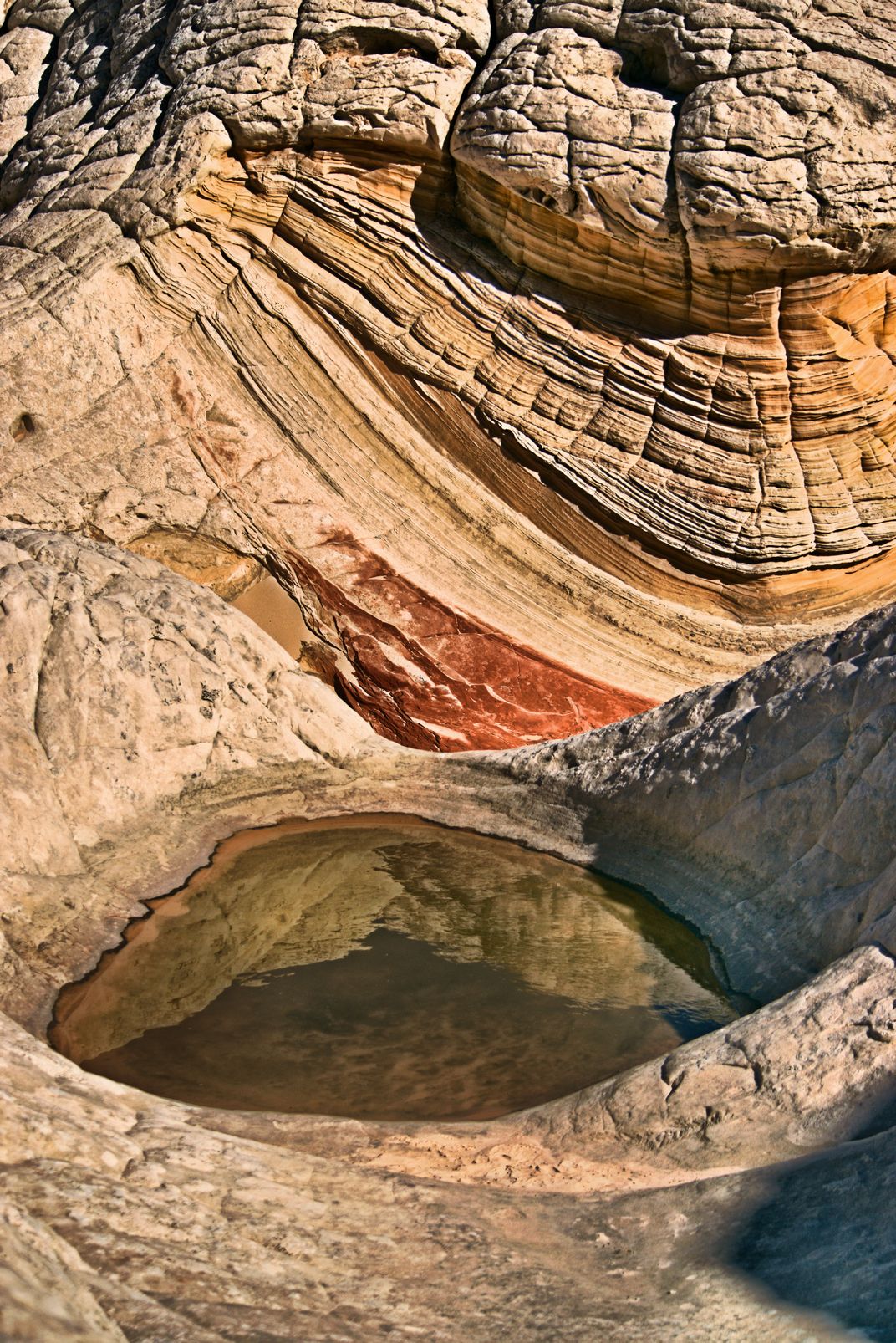 Pocket of Water | Smithsonian Photo Contest | Smithsonian Magazine