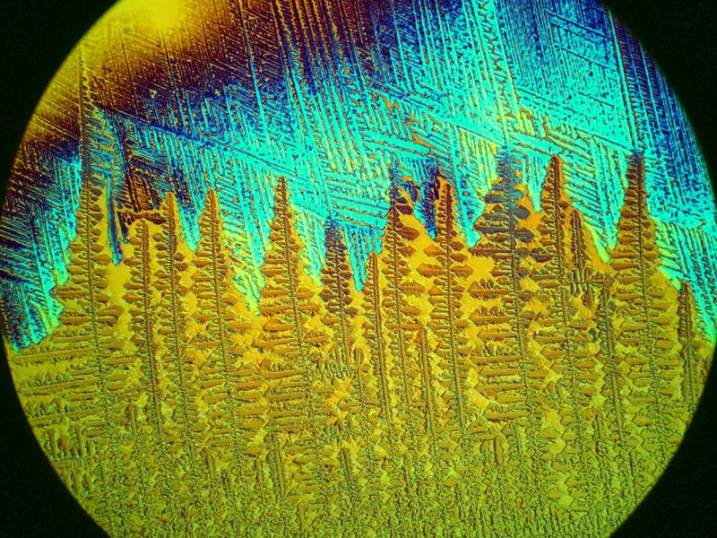 Microscopic crystals abstract trees | Smithsonian Photo Contest ...