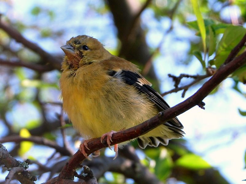 Springtime in Kentucky | Smithsonian Photo Contest | Smithsonian Magazine