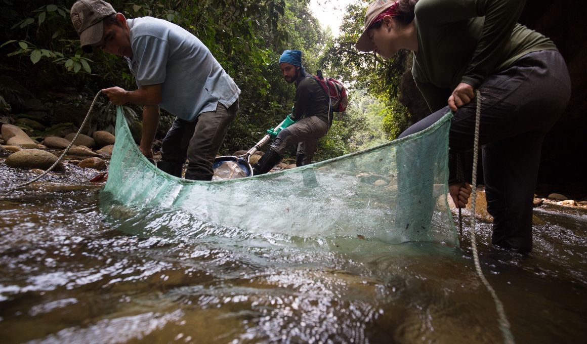 National Museum of Natural History Blog | Smithsonian Magazine