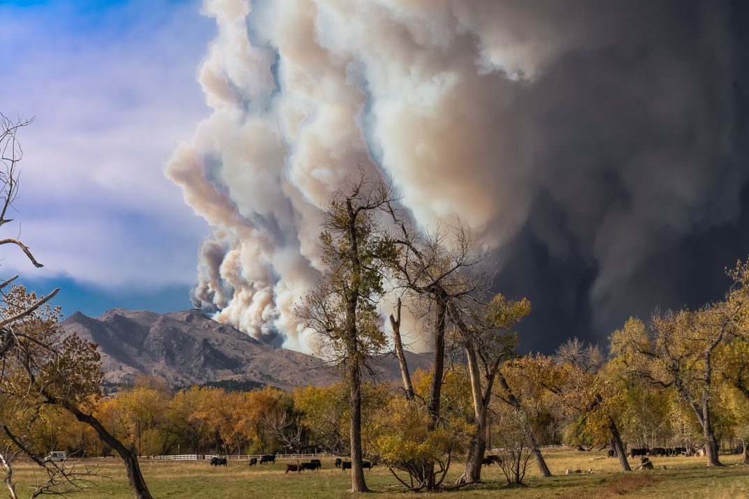 Fire Plume and Calwood Fire | Smithsonian Photo Contest | Smithsonian ...