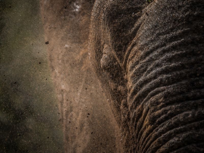 Mud Spray | Smithsonian Photo Contest | Smithsonian Magazine