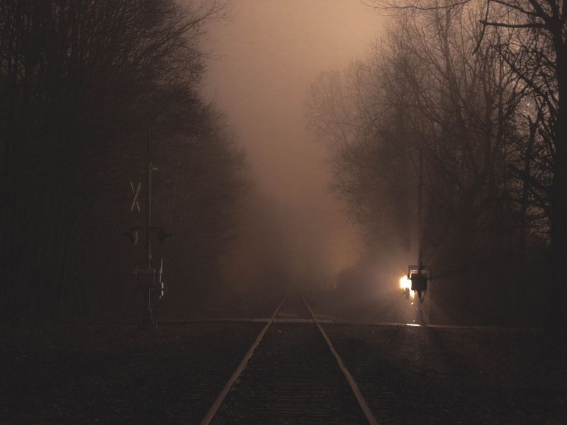 Creepy Fog | Smithsonian Photo Contest | Smithsonian Magazine