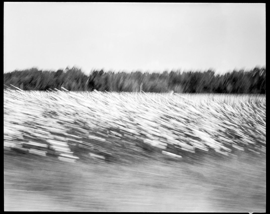 Cotton Field at Speed | Smithsonian Photo Contest | Smithsonian Magazine