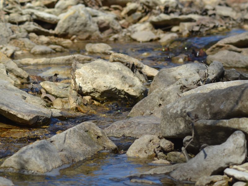 Texas river rocks | Smithsonian Photo Contest | Smithsonian Magazine