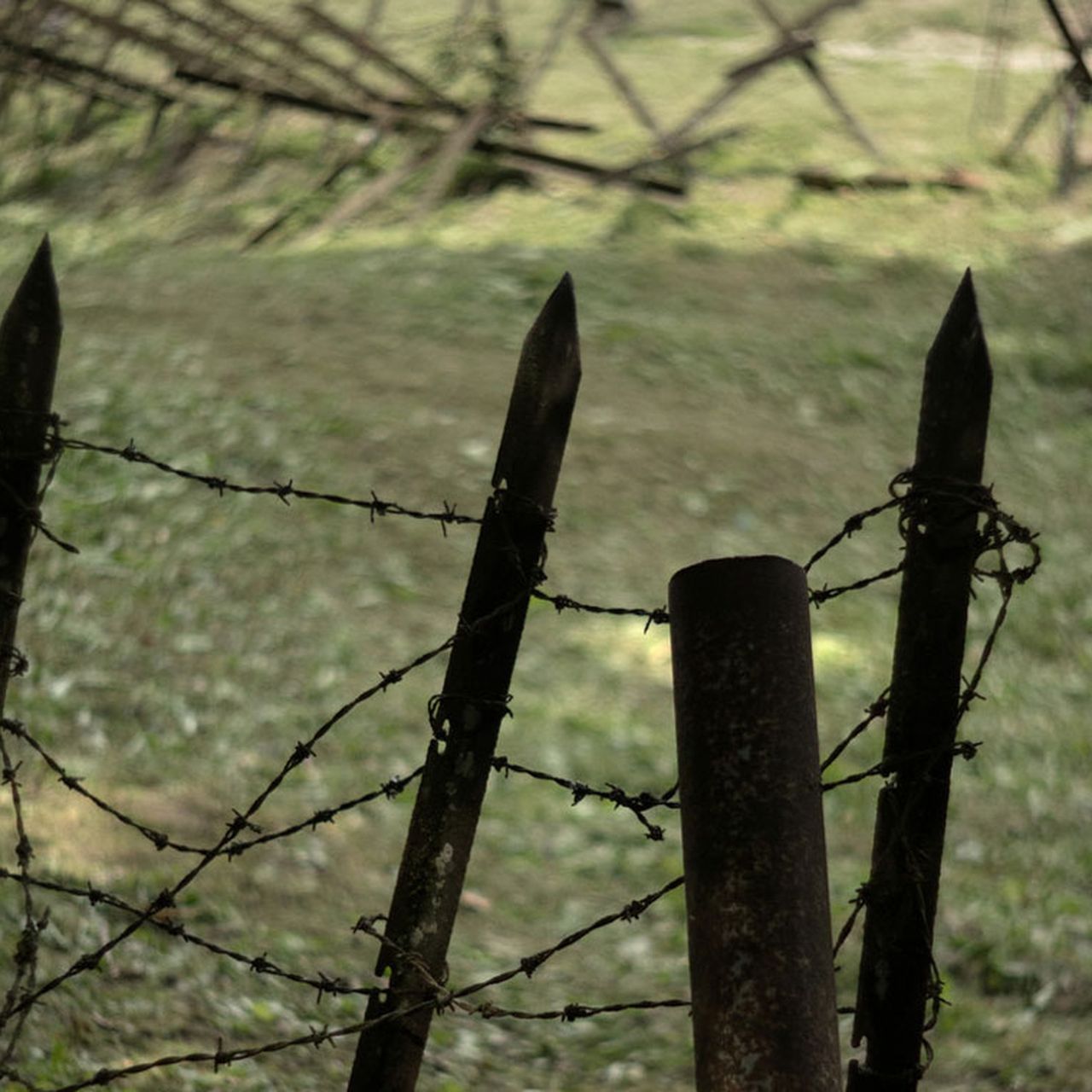 Nazi Officer Scars