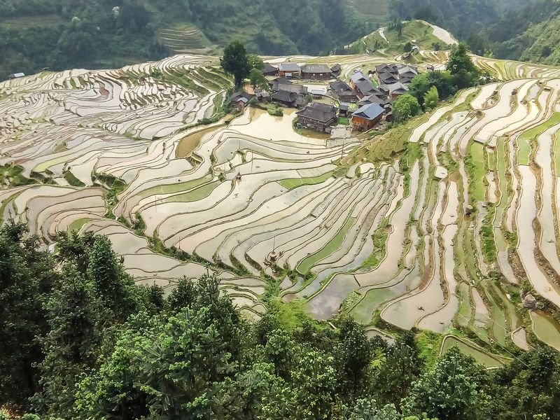 home in the terraced field | Smithsonian Photo Contest | Smithsonian ...