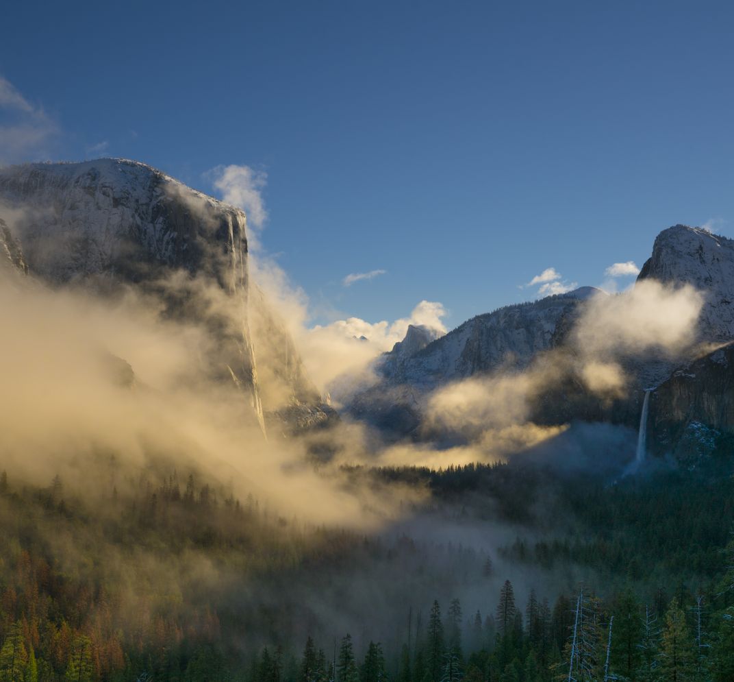 Golden fog | Smithsonian Photo Contest | Smithsonian Magazine