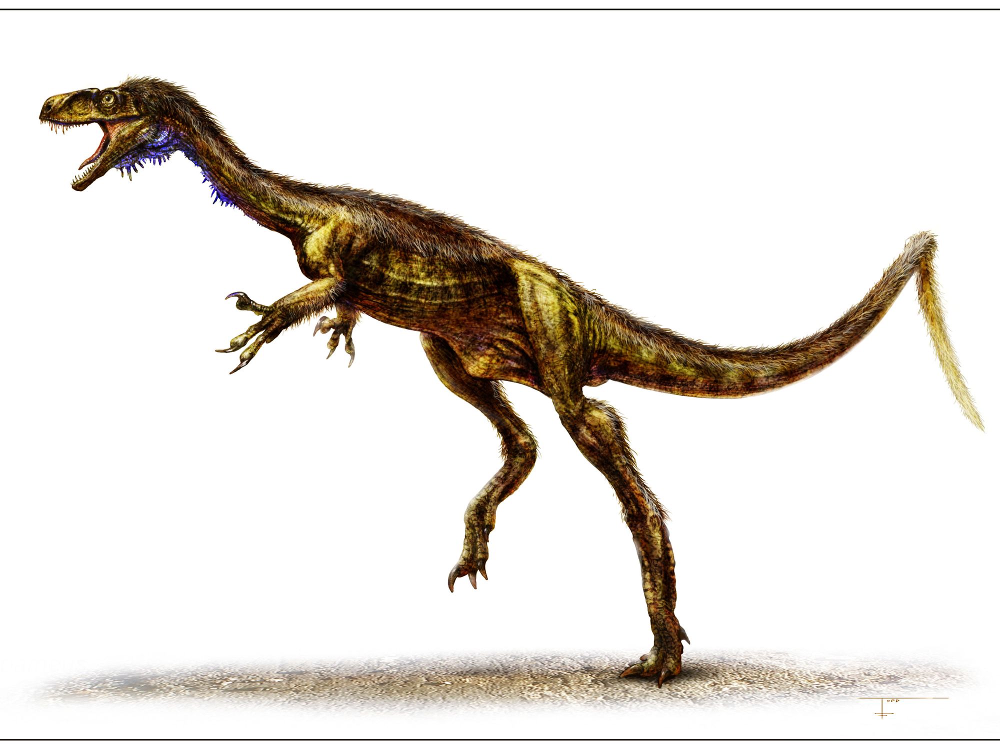 Eodromaeus Adds Context to Dinosaur Origins