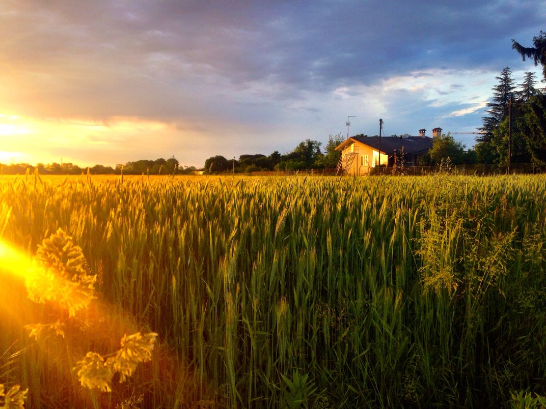 Sunrise of the Italian countryside | Smithsonian Photo Contest ...