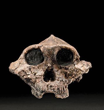 From the Castle: Becoming Us