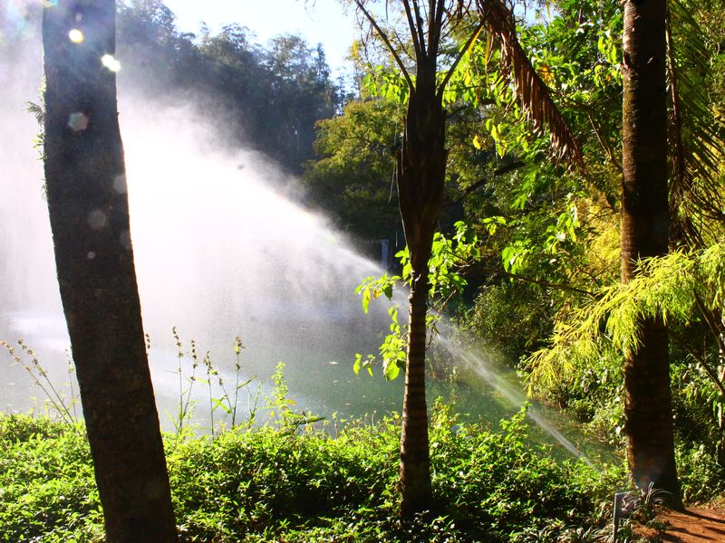 Fake rain | Smithsonian Photo Contest | Smithsonian Magazine